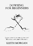 Dowsing for Beginners: Morgan, Keith: 9781872189123: Amazon.com: Books