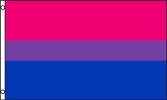 Amazon.com : NEOPlex 3' x 5' Bi Pride Flag : Outdoor Flags : Patio ...