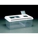 Reptile Den, Flat Home, Large (includes lid and divider): Amazon.com ...