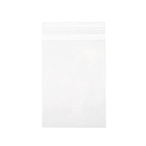 ClearBags 5 1/4" x 7 1/8" + Flap, Crystal Clear Bags (100 Pieces ...