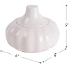 Amazon.com: PASIGRO Ceramic Garlic Storage Container, Onions storage ...