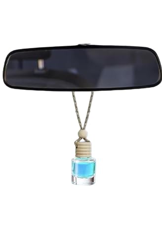 Amazon.com: Fragranced Hanging Car Freshener - Car Oil Diffuser - Car ...