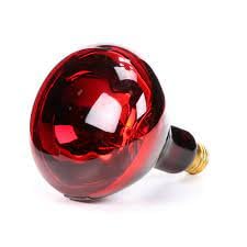 Buy Care Of India Infrared IR Bulb 150W / 230V Red Online at Low Prices ...