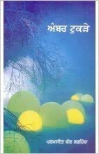 Buy Amber Tukre Book Online at Low Prices in India | Amber Tukre ...