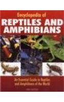 Encyclopedia of Reptiles & Amphibians: 9781840137941: Amazon.com: Books
