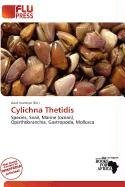 Amazon.co.jp: Cylichna Thetidis : 本