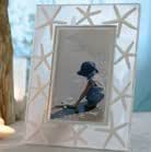 Amazon.com: Vance Kitira Starfish Picture Frame: Picture Frame Sets ...