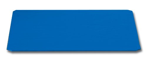 Scientific Industries SI-1617 Blue Adhering Mat For Benchtop Orbital ...