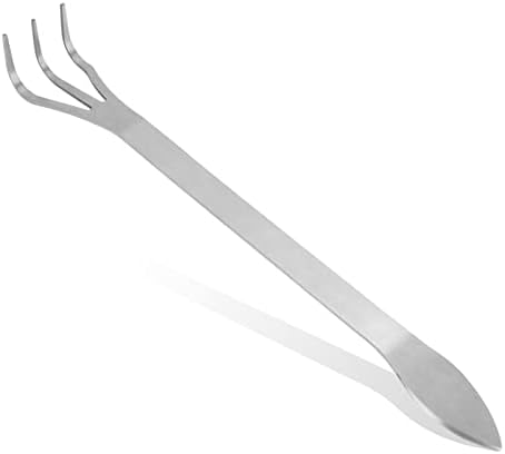 Amazon.com : Bonsai Rake Bonsai Tree Tool Lightweight 3-Prong Stainless ...