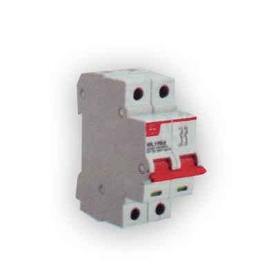 L&T Double Pole Isolators Be204000 (Pack Of 2) : Amazon.in: Home & Kitchen