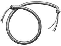 Carlon CRL WCE3086 3/4" CARFLEX 3/ #8 THHN STRD 6 FT. WHIP: Other ...