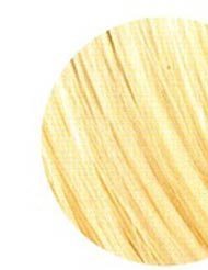 Amazon.com : UMBERTO BEVERLY HILLS U Color Hair Color Kit 12.0 White ...