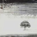 Amazon.com: Wind & Wuthering: CDs & Vinyl