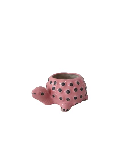 Nested Greens - Unique Dotted Turtle Ceramic Pot 4" x 4.5" Inch| Indoor ...