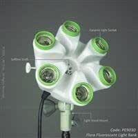 Amazon.com : Linco Flora Fluorescent Light Bank : Photographic ...
