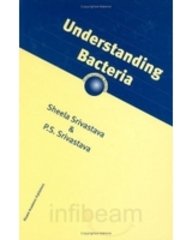 Amazon.in: Buy Understanding Bacteria Book Online at Low Prices in ...