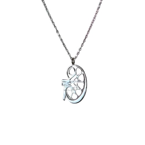 Amazon.com: Kidney Anatomy Silver Pendant Human Organ jewellery Handcut ...