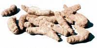 Amazon.com: Stiff Silkworm | Jiang Can Chinese Herb - Suitable to ...