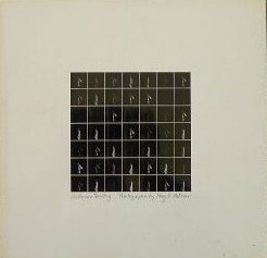 Unknown Territory: Metzker, Ray K.: 9780893811549: Amazon.com: Books