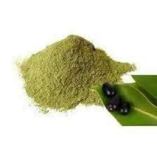 Amazon.com: seasol Jamun leaves powder/black plum (500 gm) : Grocery ...