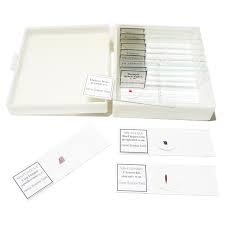 Biological HUB- Biology Microscope Prepared Permanent Slides Botany and ...