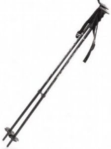 Amazon.com: Dynastar Vectory Ski Poles Black : Everything Else