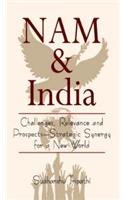 Buy Nam And India: Challenges, Relevance And Prospects-Strategic ...