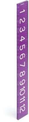 Amazon.com: Poppin Purple Ruler : Office Products