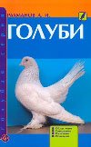 Amazon.com: Pigeons Golubi: 9785904880743: Aleksandr Rakhmanov: Books