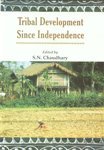 Buy Tribal Development Since Independence Book Online at Low Prices in ...