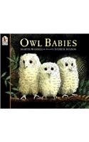 Owl Babies: Waddell, Martin: 9780756918989: Amazon.com: Books