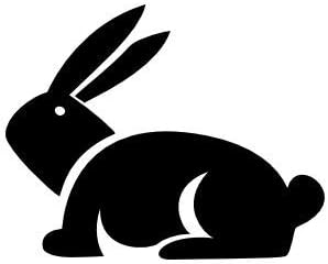 Amazon.com: Short Rabbit - Pack of 4 - StickerVinyl Waterproof Sticker ...