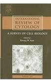 Internl Review Of Cytology V241 : Amazon.in: Books