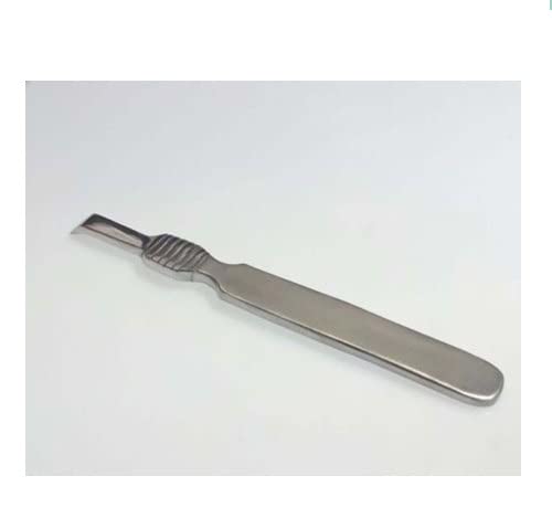 Forgesy Periosteal Elevator S/S Straight 12MM(Pack of 1) : Amazon.in ...