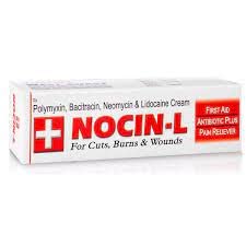 Nocin L - Tube of 15g Ointment : Amazon.in: Health & Personal Care