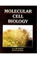 Amazon.fr - MOLECULAR CELL BIOLOGY (2ND REV. ED.) - Livres