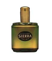 Amazon.com : Stetson Sierra By Coty For Men. Cologne Splash 2.0 Oz ...