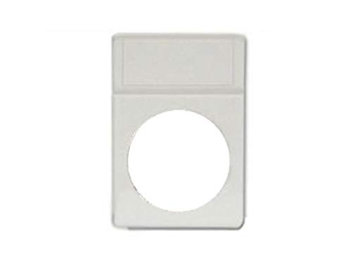 Amazon.com: BCW Dollar Display Slab Inserts - 25 ct : Everything Else