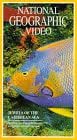 Amazon.com: Nat'l Geo: Jewels of Caribbean Sea : Movies & TV