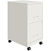 Amazon.com: Space Solutions - 2 Drawer Fully Assembled Vertical Steel ...