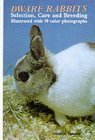 Dwarf Rabbits: Flauhaus, Gunter: 9780866226714: Amazon.com: Books