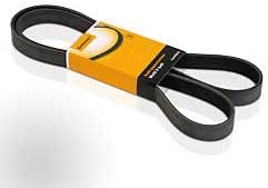 Amazon.com: Contitech 6PK-0906 Drive Belt MINI OE #: 11287566789 ...