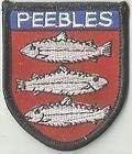 Peebles Scotland Crest Flag World Embroidered Patch Badge : Amazon.co ...