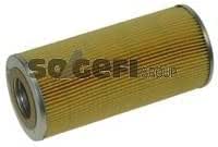 Amazon.com: Fram CH801PL Oil Filter : Automotive