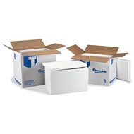 ThermoSafe 326 Eps Foam Multi Purpose Insulated Shipper Container with ...