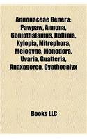 Annonaceae Genera: Pawpaw, Annona, Goniothalamus, Rollinia, Xylopia ...