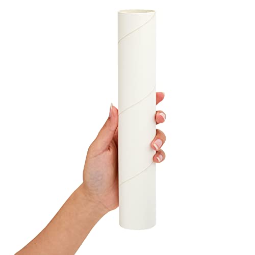 Snapklik.com : Genie Crafts 12 Pack White Cardboard Tubes For Crafts ...
