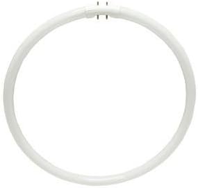 Ciata Lighting FC40T5 835 40-Watt Circline Fluorescent T5 Bulb, 800 ...