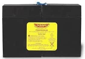Amazon.com: Parmak Precision 1902 12-Volt Fencer Battery : Patio, Lawn ...