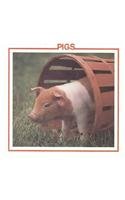 Pigs (Farm Animal Discovery Library): Stone, Lynn M.: 9780865930377 ...